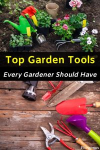 Top 21 Essential Gardening Tools Every Gardener Should Have | Florgeous