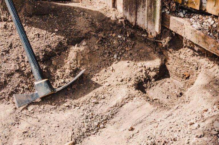 Top 21 Essential Gardening Tools Every Gardener Should Have | Florgeous