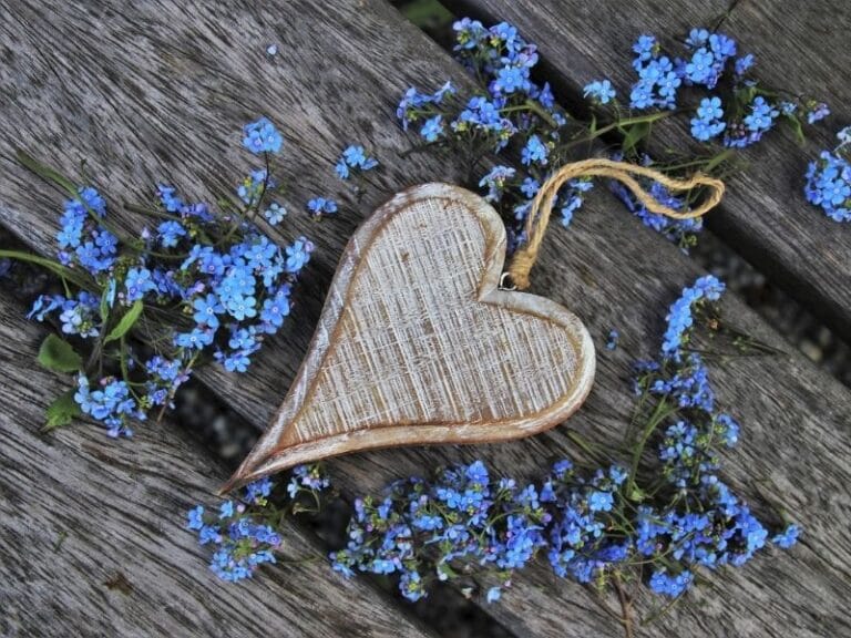 Forget-Me-Nots: Types, How To Grow and Care | Florgeous