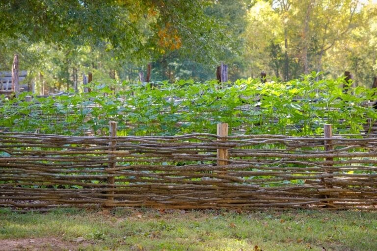 How to Keep Animals Out of Your Garden | Florgeous