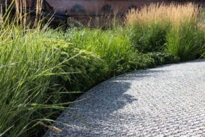 5 Great Karl Foerster Grass Companion Plants | Florgeous
