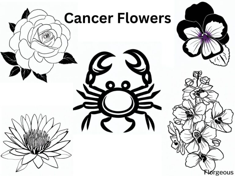 Cancer Birth Flower: Nurturing Beauty and Emotional Significance ...