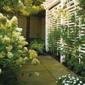 7 Privacy Trellis: Transform Your Outdoor Space with Style and Enhanced ...