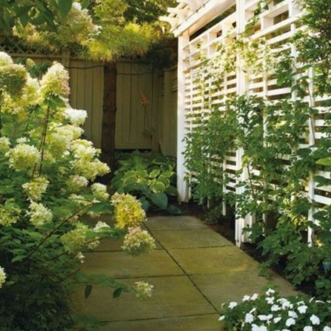 7 Privacy Trellis: Transform Your Outdoor Space with Style and Enhanced ...