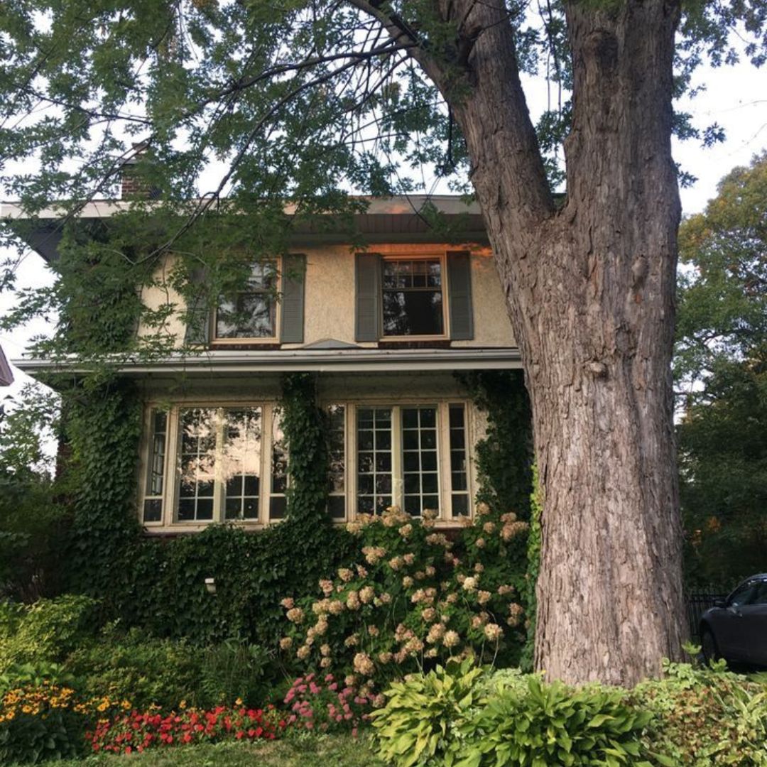 Image Search - Mavink.com