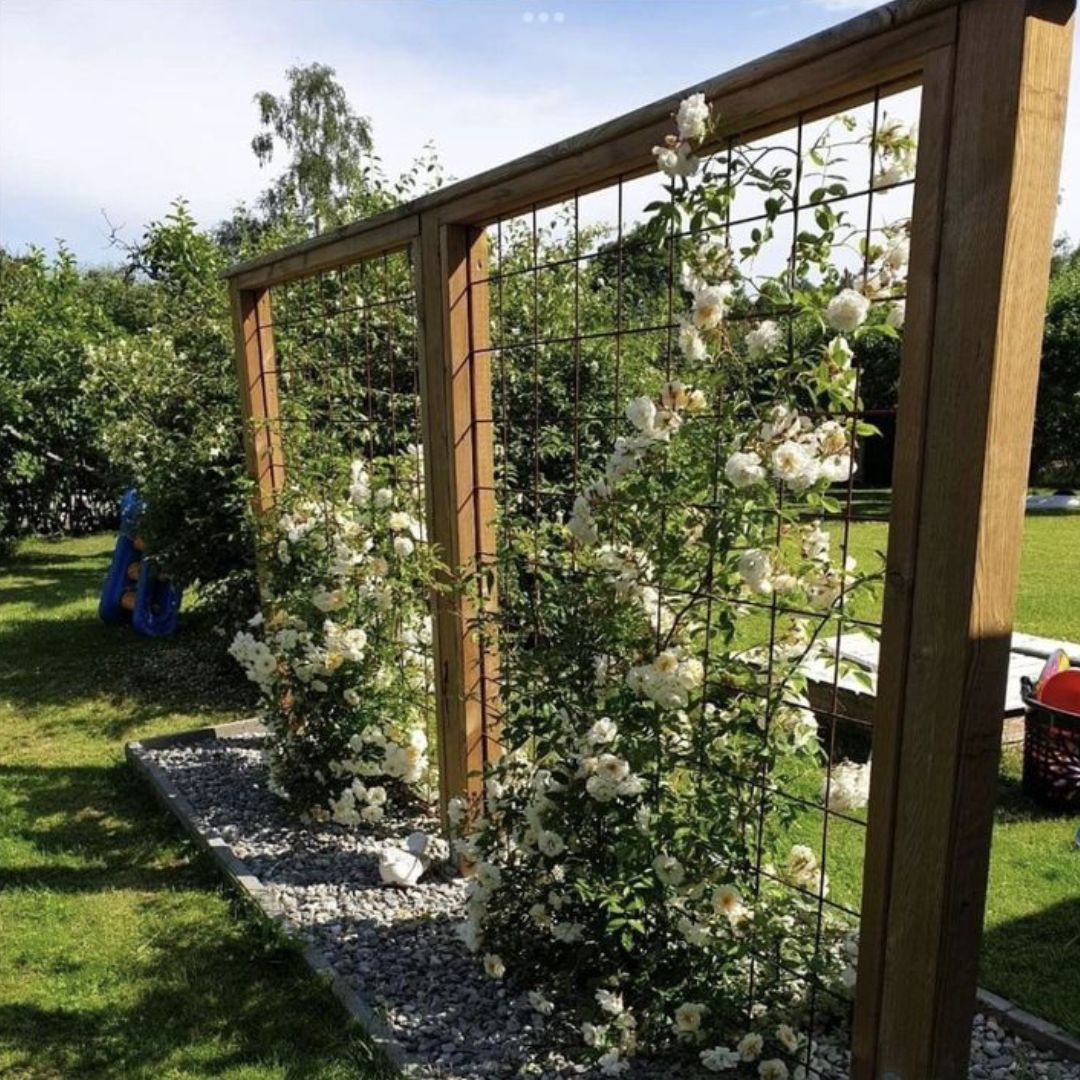 7 Privacy Trellis: Transform Your Outdoor Space with Style and Enhanced ...